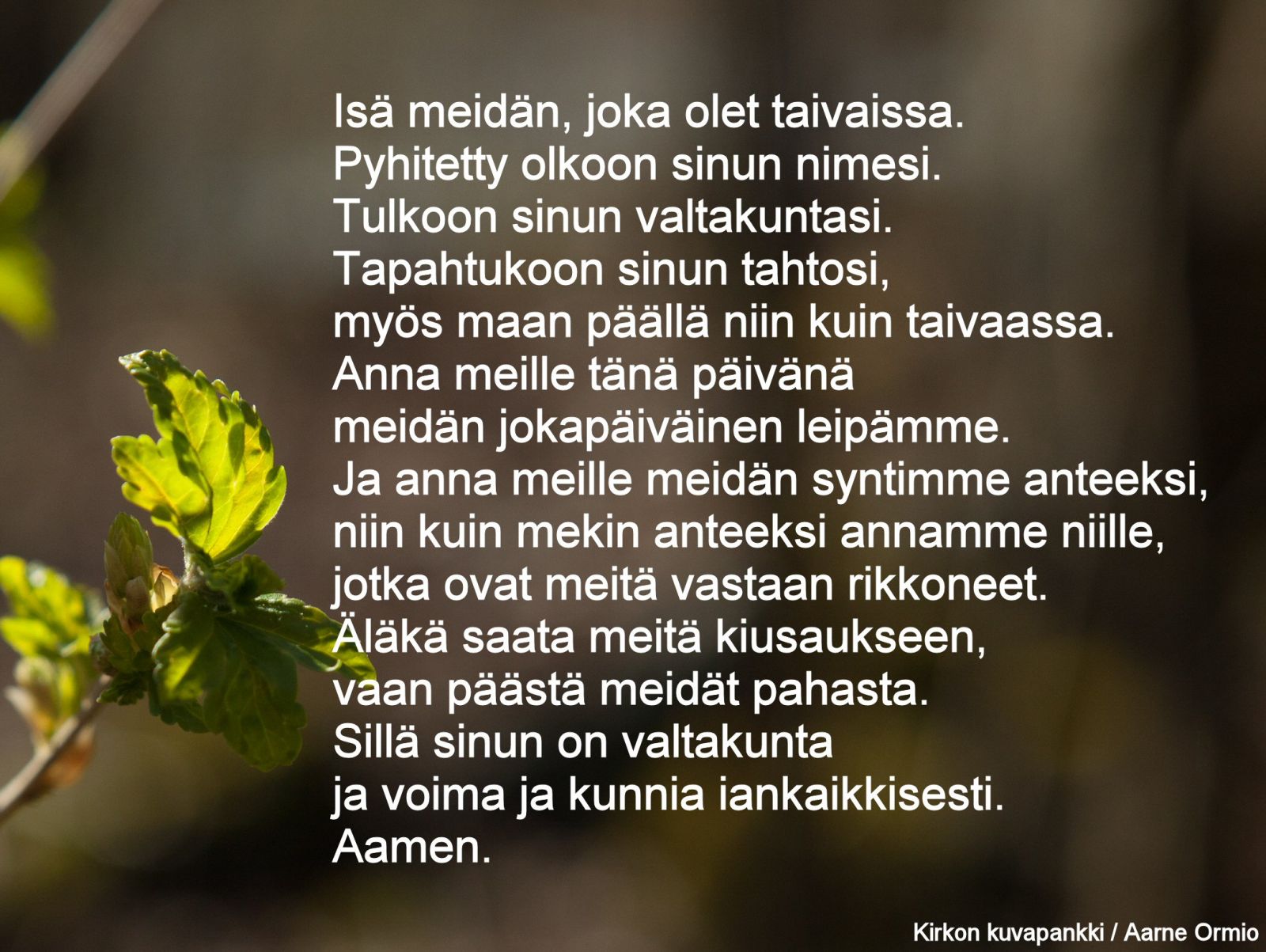 Kristittyjen yhteinen rukous 25.3. | Lapuan hiippakunta